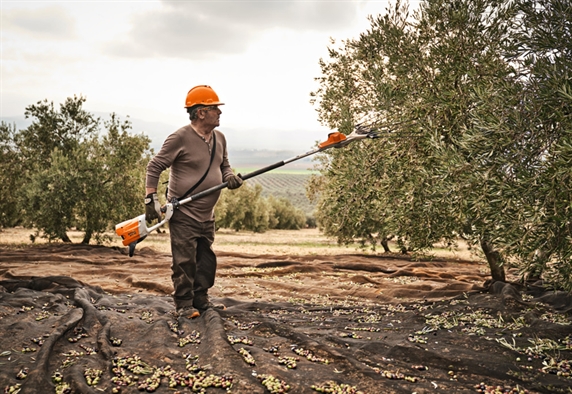 Stihl SPA 65 Ελαιοραβδιστικό Μπαταρίας Χωρίς Μπαταρία και Φορτιστή ...