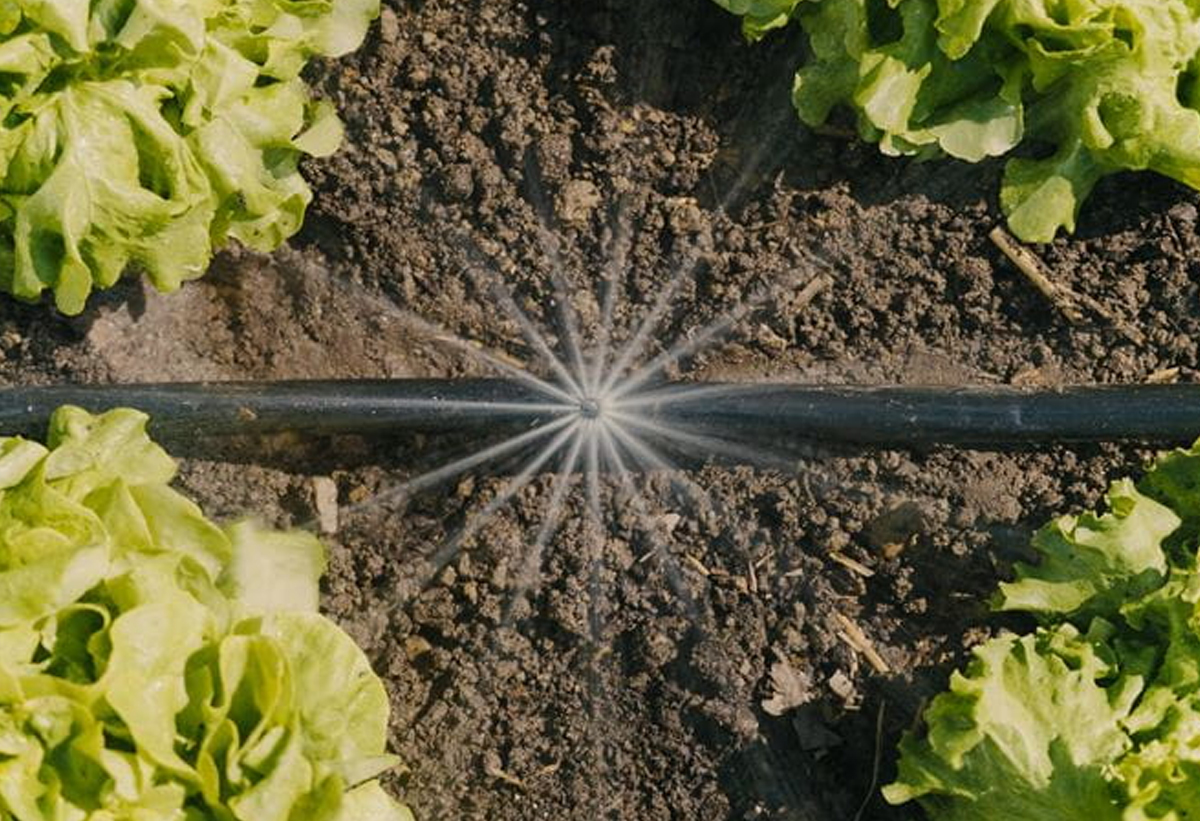 Σετ Μπεκ Ποτίσματος Gardena Micro-Drip 360 Μοιρών 5τμχ | Praktiker