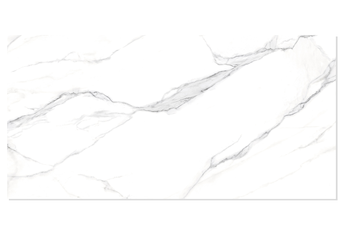 Πλακάκι Δαπέδου Πορσελανάτο Calacatta Silver Carving 60x120cm Λευκό ...